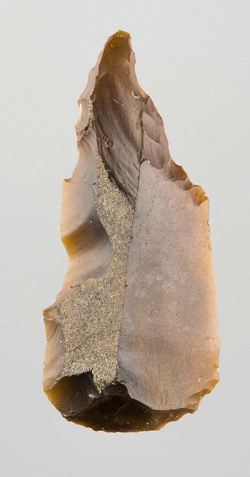 Archeologische vondsten uit het mesolithicum in Maartensdijk - Online ...