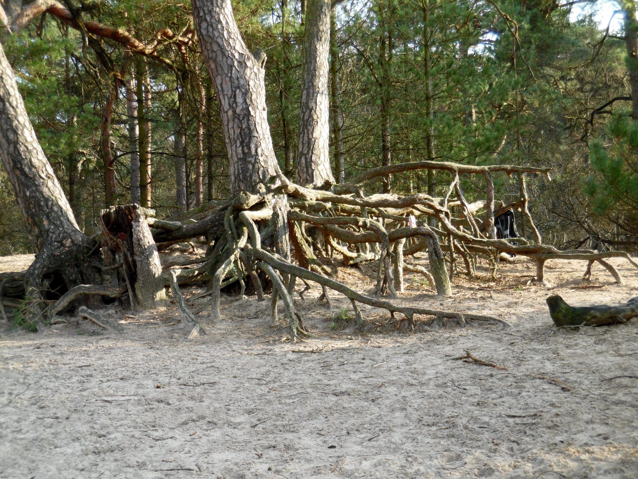 De laatste resten van het oude landschap 7: Stuifzanden - Online Museum ...